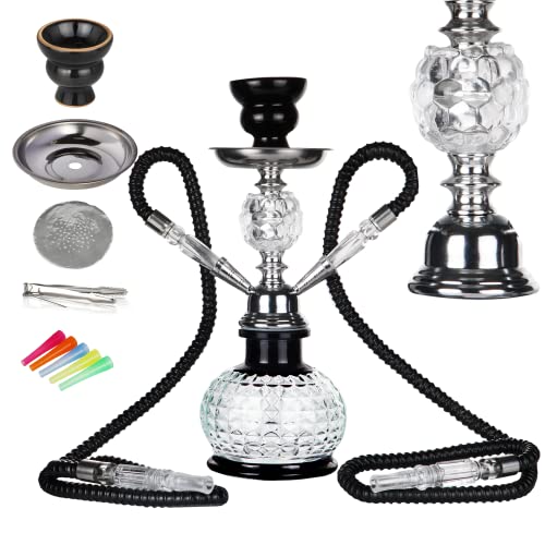 REANICE 12" Handmade Glass Water Shisha Portable Hookah Set with 2 Hose and Hookah Accessories (Black)