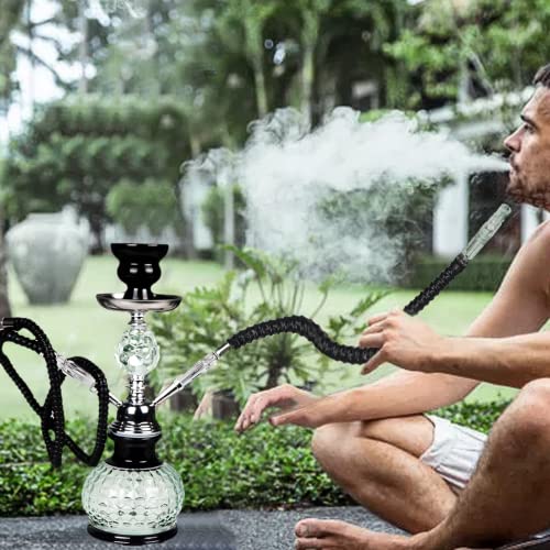 REANICE 12" Handmade Glass Water Shisha Portable Hookah Set with 2 Hose and Hookah Accessories (Black)