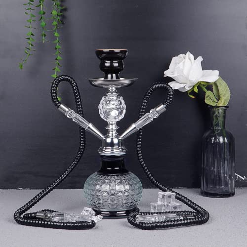 REANICE 12" Handmade Glass Water Shisha Portable Hookah Set with 2 Hose and Hookah Accessories (Black)