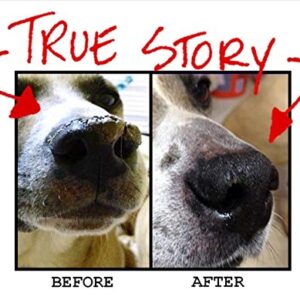 Snout Magic: 100% Organic and Natural Dog Nose Butter (2oz) - Proven to Cure Your Dog's Dry, Chapped, Cracked, and Crusty Nose