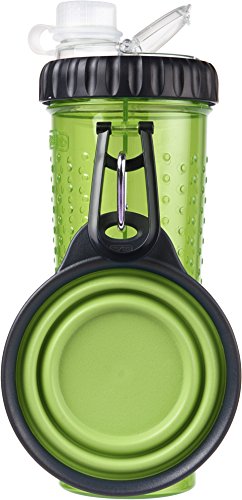 Dexas Popware for Pets Snack Duo Dual Chambered Hydration Bottle and Snack Container with Collapsible Pet Cup, Green