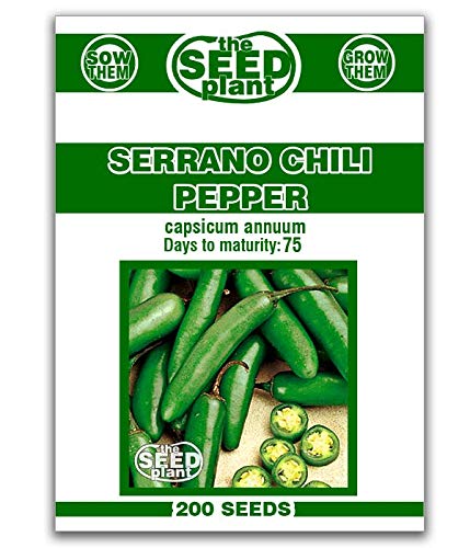 Serrano Chili Pepper Seeds - 200 Seeds Non-GMO