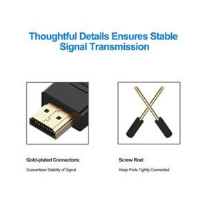 Rankie HDMI to DVI Cable, CL3 Rated High Speed Bi-Directional, 6 Feet, Black