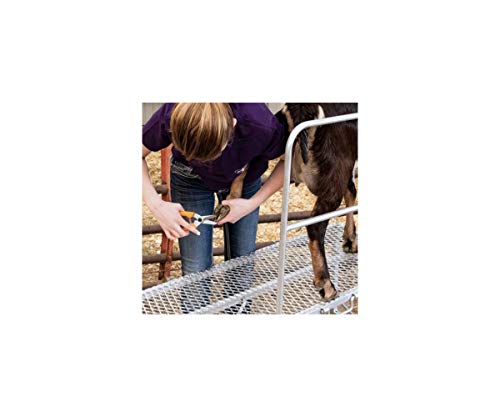 Premier ExoTrim Serrated Hoof Trimmer