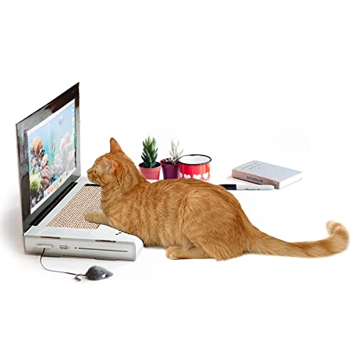 Suck UK | Cat Scratch Laptop | Cat Scratcher Laptop with Fluffy 'Mouse' | Interactive Cat Toys | Paw Over Social Media & Catch up on The Mews | Kitten Toys & Cat Scratch Pads |