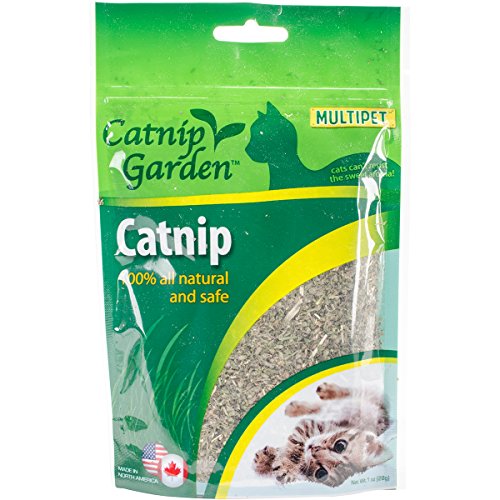 Multipet Gusseted Bag of Catnip Toy, 1 oz