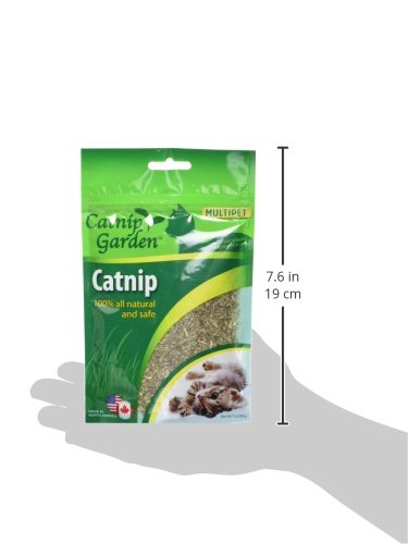 Multipet Gusseted Bag of Catnip Toy, 1 oz