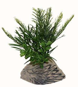 rock garden natural green plant with decorative resin base, 6"