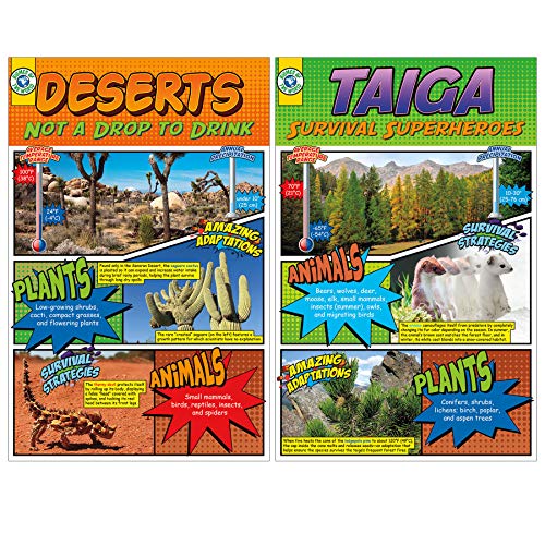 NORTH STAR TEACHER RESOURCE Biomes Bulletin Board Set