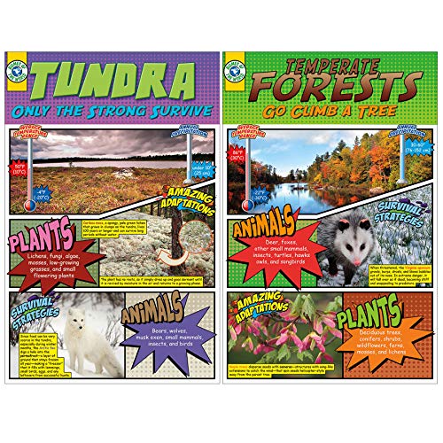 NORTH STAR TEACHER RESOURCE Biomes Bulletin Board Set