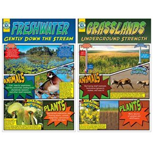 NORTH STAR TEACHER RESOURCE Biomes Bulletin Board Set