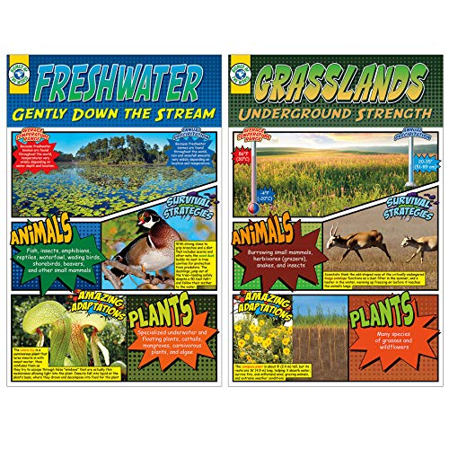 NORTH STAR TEACHER RESOURCE Biomes Bulletin Board Set