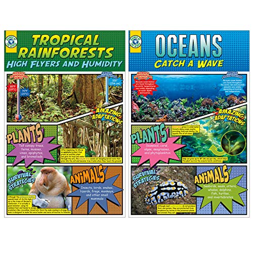 NORTH STAR TEACHER RESOURCE Biomes Bulletin Board Set