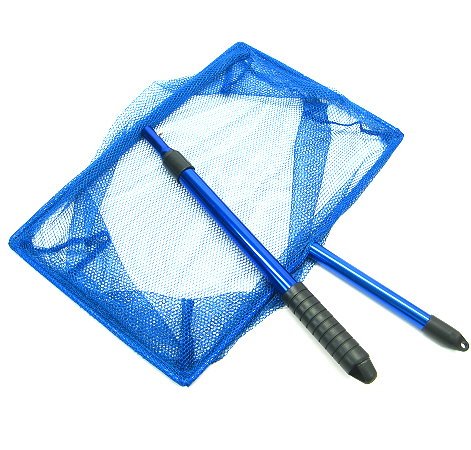 CORISRX BEST OF YOUR LIFESTYLE 12"x 8" Koi Adjustable Fish NET Handle 30~54cm Aluminum Fishing Pond Tank Blue