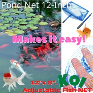 CORISRX BEST OF YOUR LIFESTYLE 12"x 8" Koi Adjustable Fish NET Handle 30~54cm Aluminum Fishing Pond Tank Blue