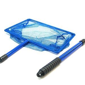 CORISRX BEST OF YOUR LIFESTYLE 12"x 8" Koi Adjustable Fish NET Handle 30~54cm Aluminum Fishing Pond Tank Blue