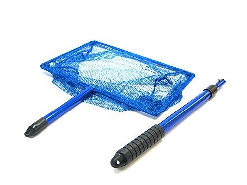 CORISRX BEST OF YOUR LIFESTYLE 12"x 8" Koi Adjustable Fish NET Handle 30~54cm Aluminum Fishing Pond Tank Blue