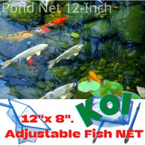 CORISRX BEST OF YOUR LIFESTYLE 12"x 8" Koi Adjustable Fish NET Handle 30~54cm Aluminum Fishing Pond Tank Blue