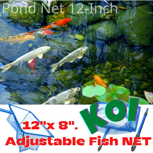 CORISRX BEST OF YOUR LIFESTYLE 12"x 8" Koi Adjustable Fish NET Handle 30~54cm Aluminum Fishing Pond Tank Blue