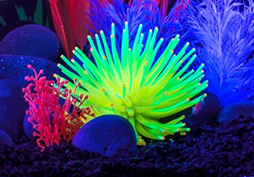 GloFish Anenome Ornaments, Fish Tank Decorations, Aquarium Decorations, Creates a Glowing Effect