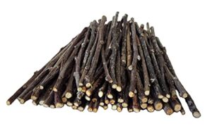 farmerdavepetsupply 60 apple skinny chew twigs for small animals