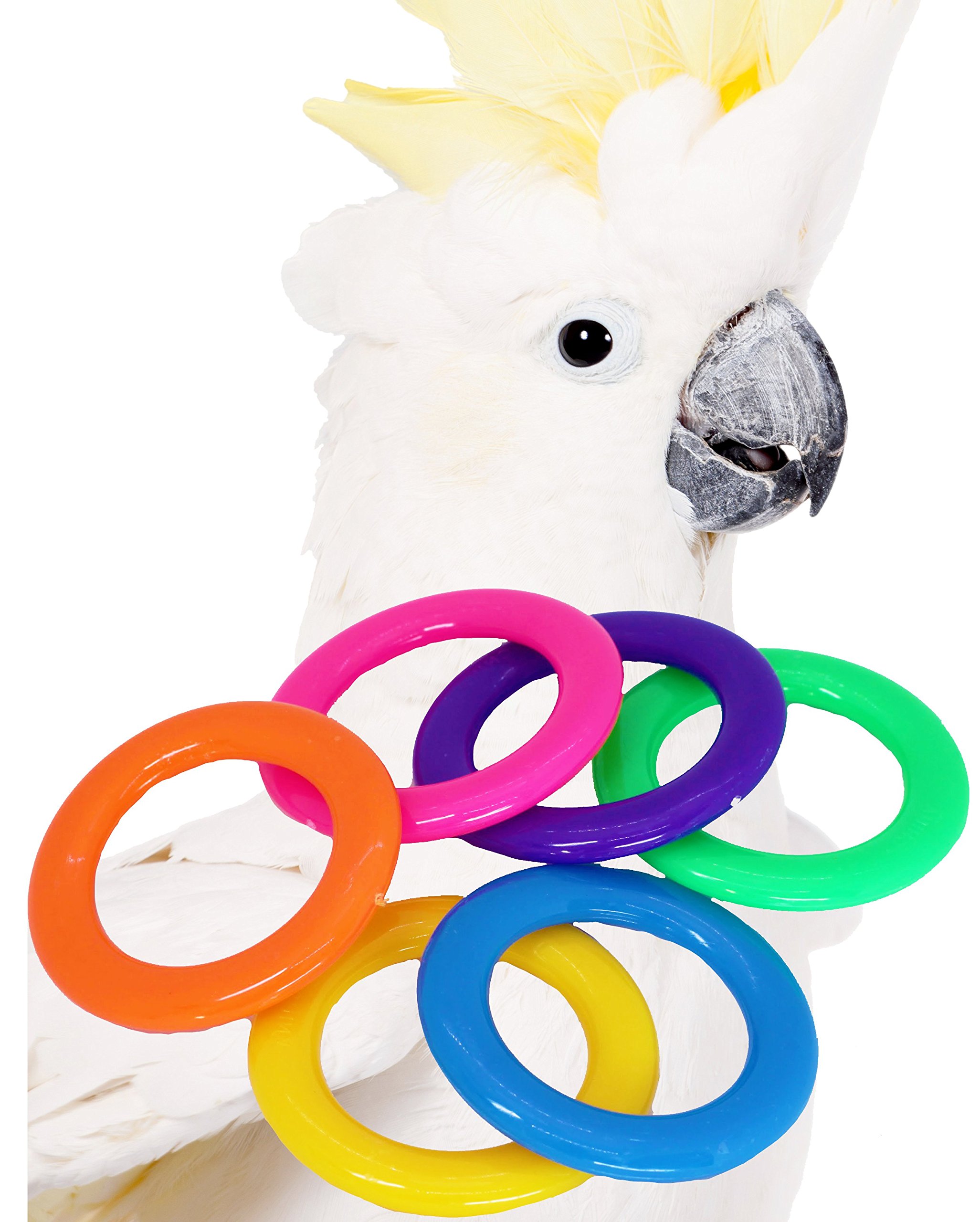 Bonka Bird Toys 1196 Pk6 Plastic Cane Rack Rings Foot Talon Parrot Budgie Finch Quaker Parrotlet