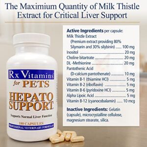 Rx Vitamins Hepato Support for Dogs & Cats - Milk Thistle Supplement for Pets - 100mg Milk Thistle for Healthy Liver Function - Silymarin Capsules for Pets - 180 ct.