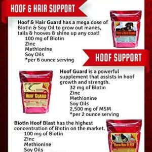 Equine Hoof Guard 10 lb, Concentrated Hoof Supplement, 32 mg. of Biotin