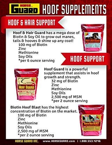 Equine Hoof Guard 10 lb, Concentrated Hoof Supplement, 32 mg. of Biotin