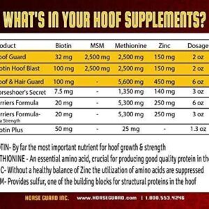 Equine Hoof Guard 10 lb, Concentrated Hoof Supplement, 32 mg. of Biotin