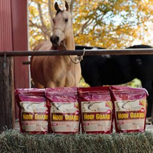 Equine Hoof Guard 10 lb, Concentrated Hoof Supplement, 32 mg. of Biotin