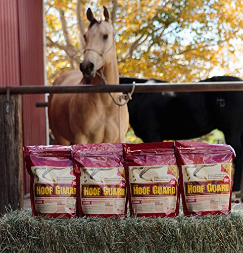 Equine Hoof Guard 10 lb, Concentrated Hoof Supplement, 32 mg. of Biotin