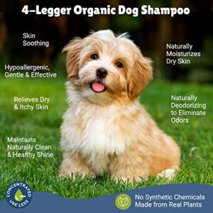 4Legger Organic Dog Shampoo USDA Certified Organic Aloe Vera, Lemongrass, Coconut Oil, All Natural Dog Shampoo, Dog Shampoo Sensitive Skin, Dog Shampoo for Itchy Skin 16 oz