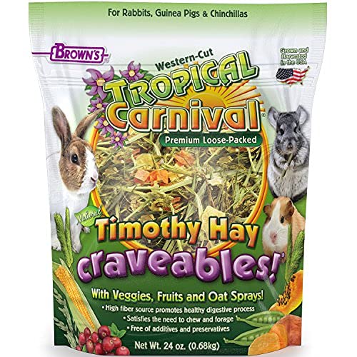 F.M. Brown's Tropical Carnival, Natural Timothy Hay Craveables with Veggies, Fruits, and Oat Sprays, Foraging Treat with High Fiber for Healthy Digestion, 24 oz