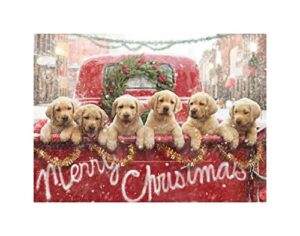 avanti press christmas cards, all the love your heart can hold, 10 count (701240)