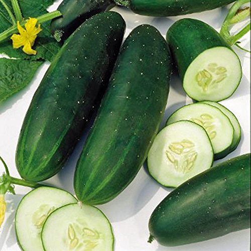 Cucumber, Straight Eight Cucumber Seeds, Heirloom, 25 Seeds, Great for Salads/Snack