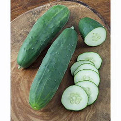 Cucumber, Straight Eight Cucumber Seeds, Heirloom, 25 Seeds, Great for Salads/Snack