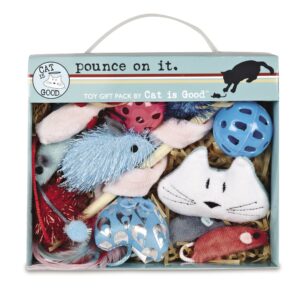 cat is good 12-piece pounce toy gift box – pounce on it assorted toys keep cats and kittens entertained safely