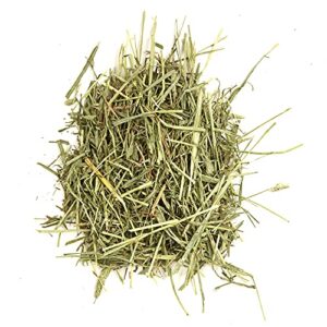 F.M. Brown's Tropical Carnival, Natural Timothy Hay for Guinea Pigs, Rabbits, and Other Small Animals, with High Fiber for Healthy Digestion, 96 oz