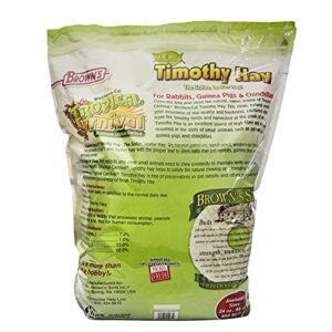 F.M. Brown's Tropical Carnival, Natural Timothy Hay for Guinea Pigs, Rabbits, and Other Small Animals, with High Fiber for Healthy Digestion, 96 oz