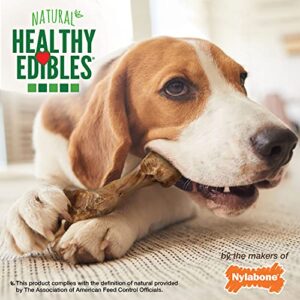 Nylabone Healthy Edibles WILD Natural Long-Lasting Dog Treats - Dog Bone Treats - Bison Flavor, Medium (2 Count)