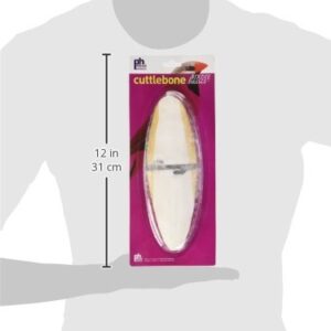 Prevue Pet Treat 8" Cuttlebone, X-Large