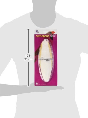 Prevue Pet Treat 8" Cuttlebone, X-Large