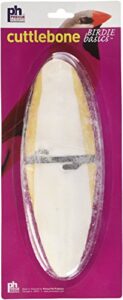 prevue pet treat 8" cuttlebone, x-large