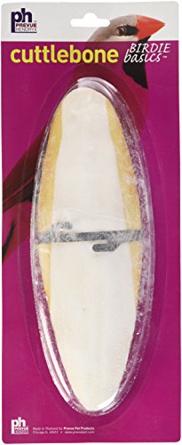 Prevue Pet Treat 8" Cuttlebone, X-Large