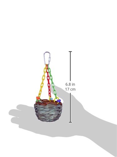 Super Bird Creations SB861 Hanging Treat Basket Toy, Small Bird Size, 7" x 3"