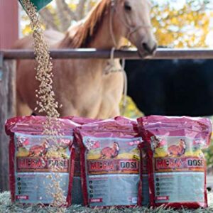 Mega Dose 10 lb, Equine Vitamin Mineral with a Full Serving of Horse Guard Supplement & Hoof Guard