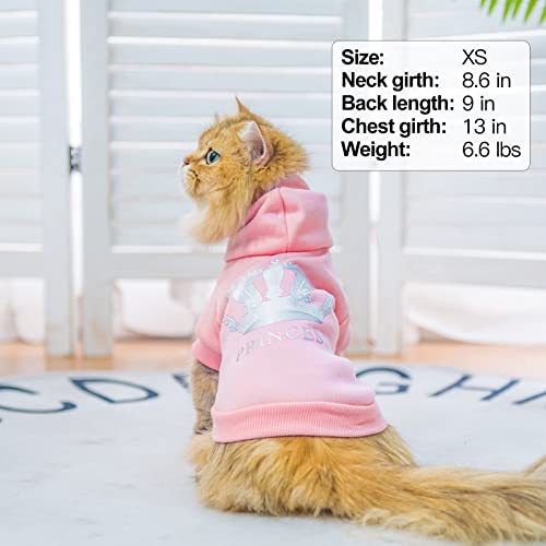 EXPAWLORER Prinecss Dog Hoodie for Girl - Hooded Dog Sweater with Leash Hole, Dog Cold Weather Clothes,Sweatshirt with Pocket, Pet Warm Outfit, Winter Coats for XS-XXL Dogs