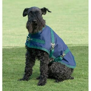 rider's international dog turnout sheet, size large, hunter/navy