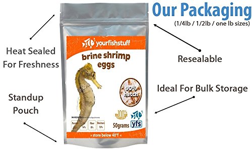 Brine Shrimp Eggs 50 Gramm (Artemia Cysts) of 90% Hatch Rate Fish Food